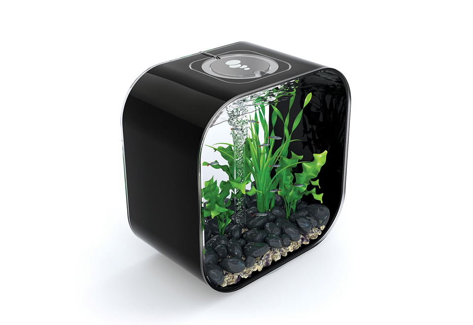 All-in-one 8 Gallon Square Aquarium | Topfire